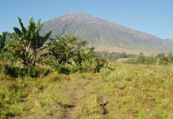 The Sembalun Village Route Information